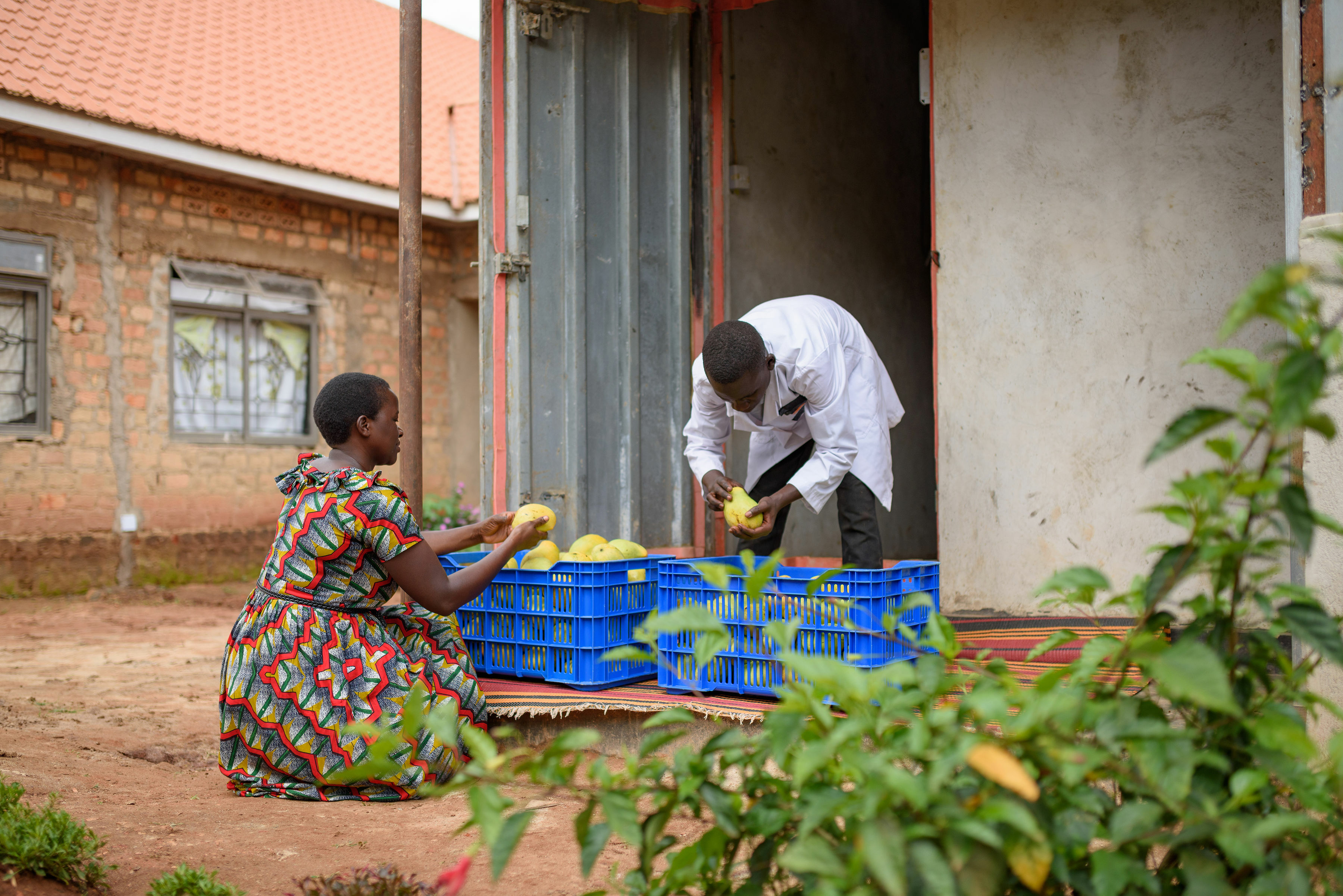 Walk-In Cold Rooms, a Practictioner's Technical Guide - Efficiency for ...